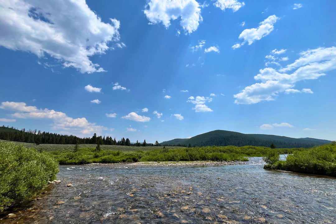 YNP Report – Big Sky Anglers