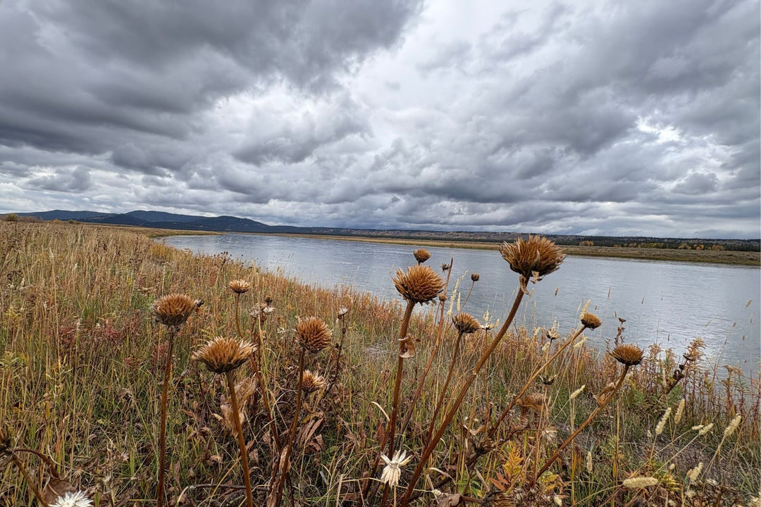 Henry's Fork Fishing Report - October 9, 2025 – Big Sky Anglers