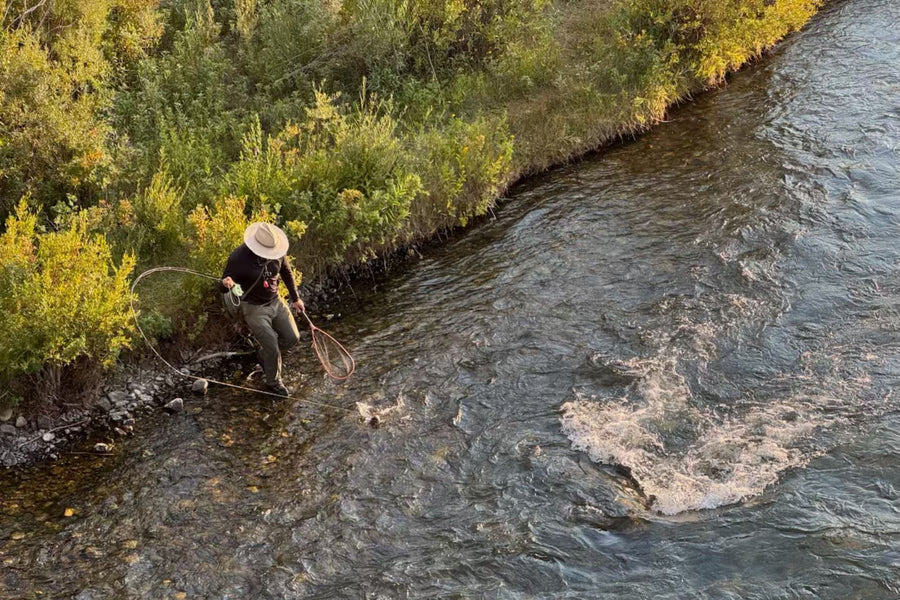 Madison River Fishing Report - September 11, 2025 – Big Sky Anglers
