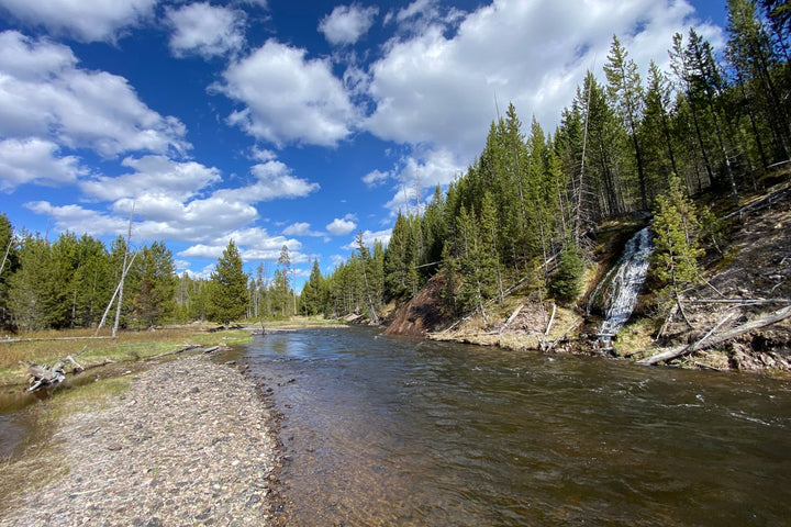 YNP Report – Big Sky Anglers