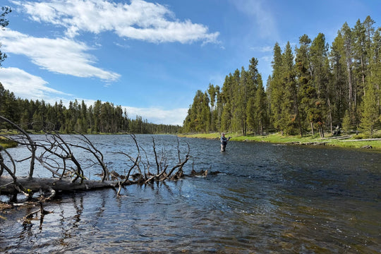 Yellowstone National Park Fishing Report | June 18, 2026 | conditions ...