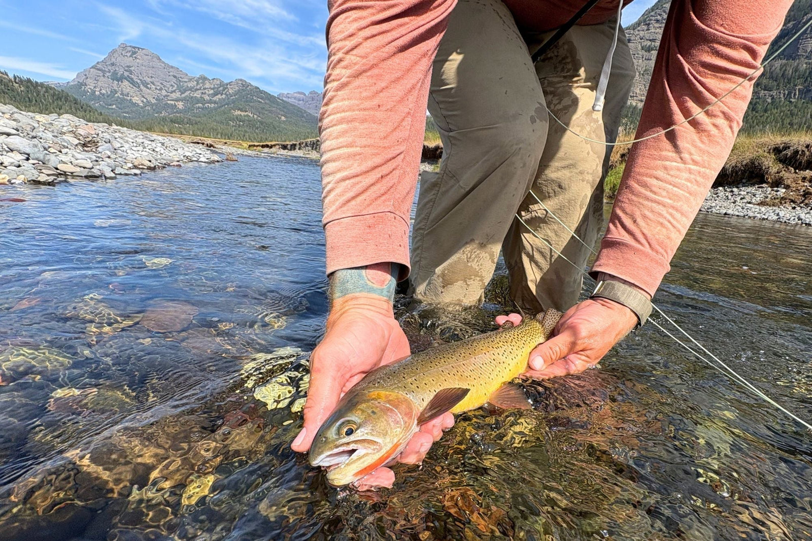 Yellowstone National Park Fishing Report - September 4, 2025 – Big Sky ...