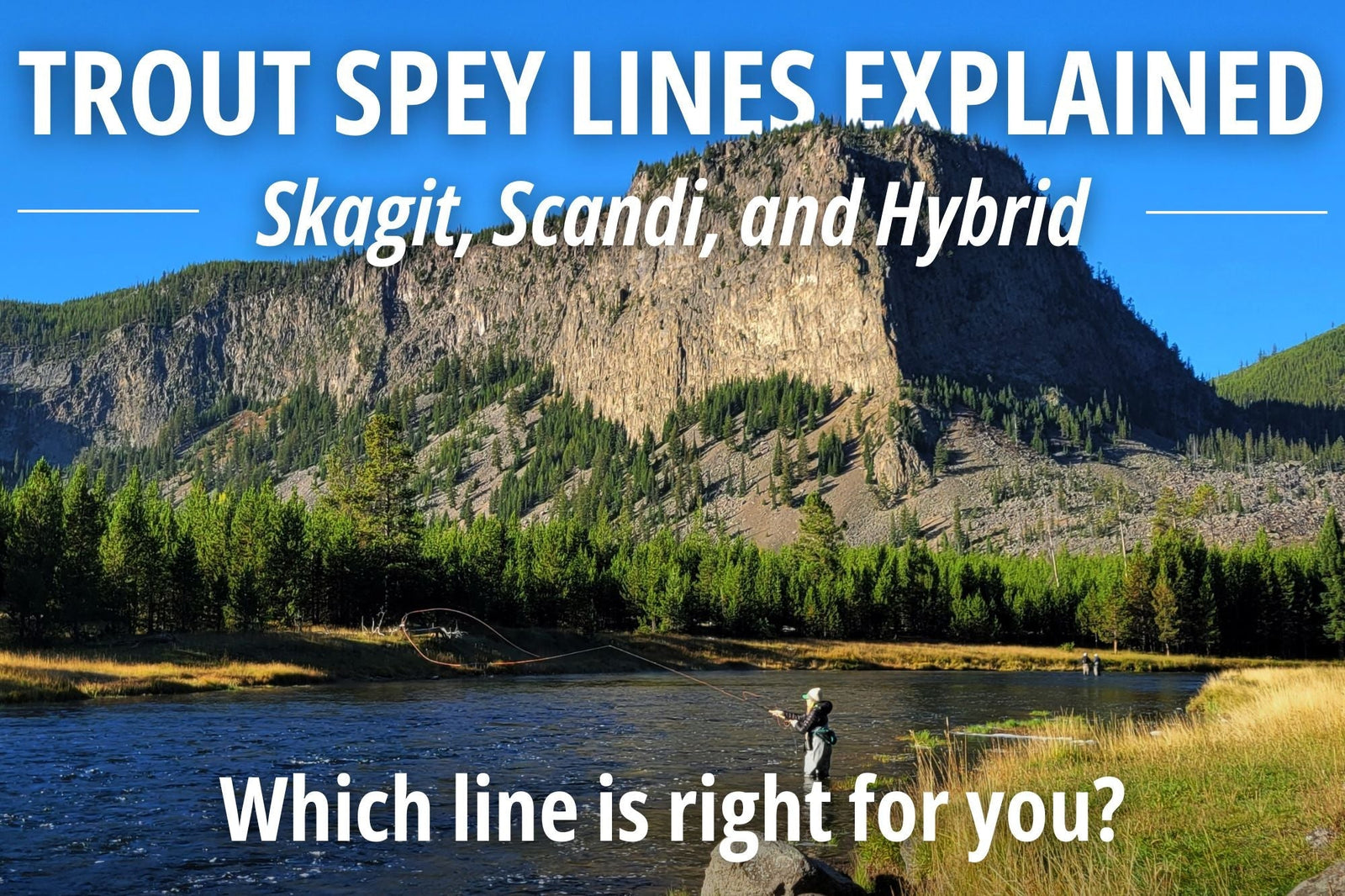 Trout Spey Lines Explained: Skagit, Scandi, and Hybrid – Big Sky Anglers