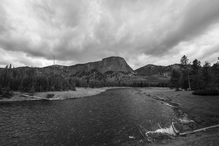 YNP Report – Big Sky Anglers