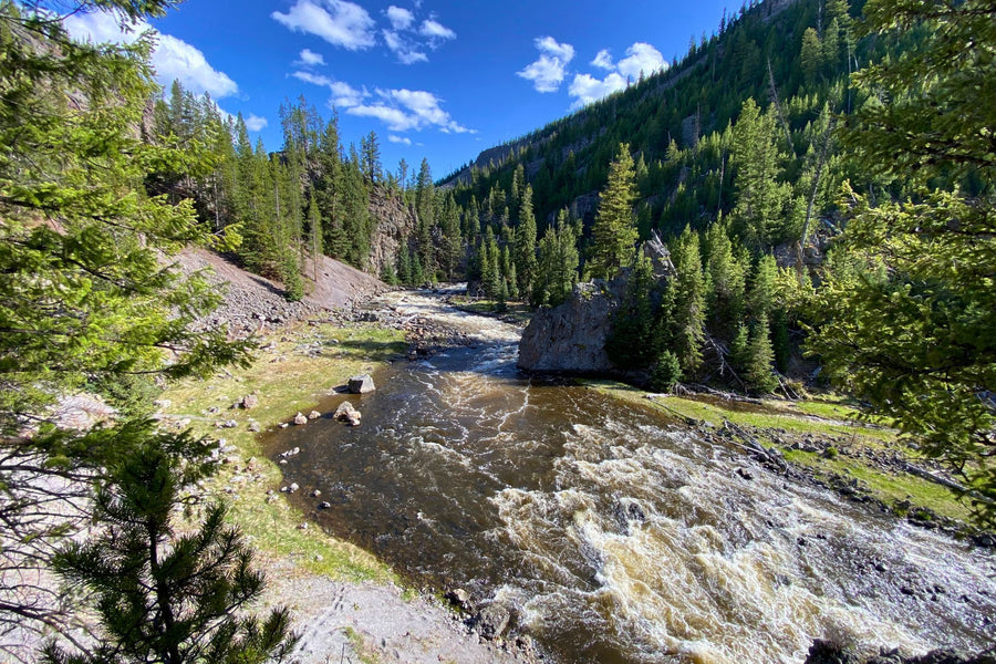 YNP Report – Big Sky Anglers