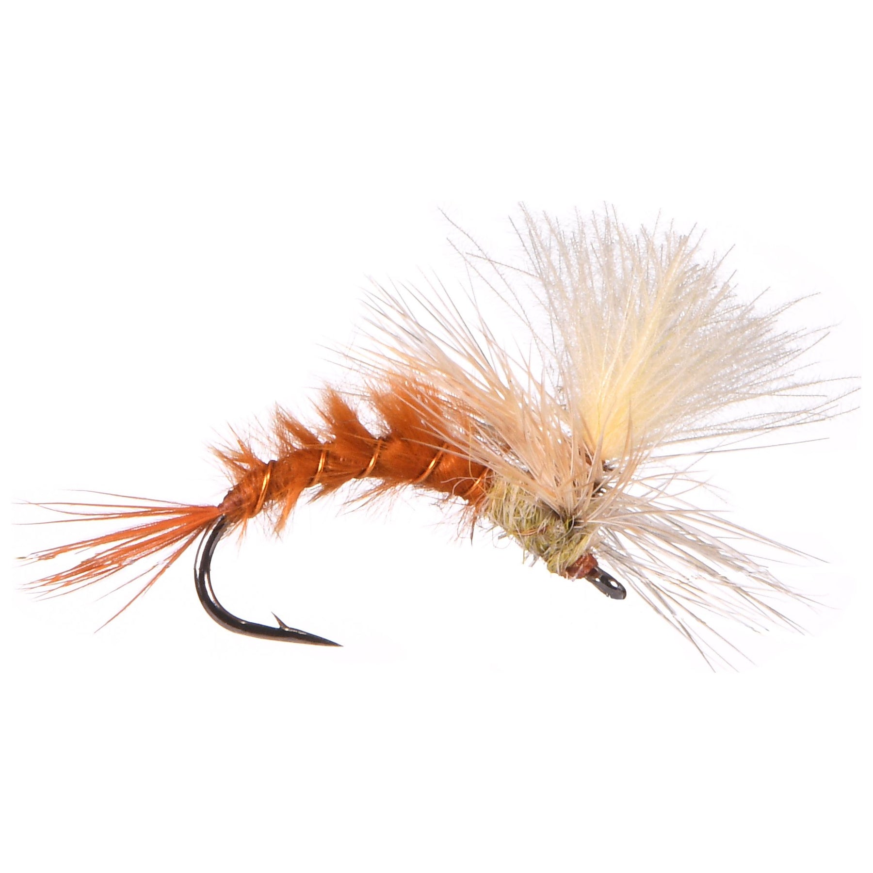 Hatch Profile - Pale Morning Duns (PMD) – Big Sky Anglers