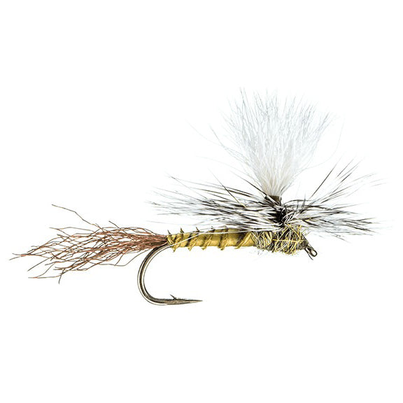 Hatch Profile - Flavs – Big Sky Anglers