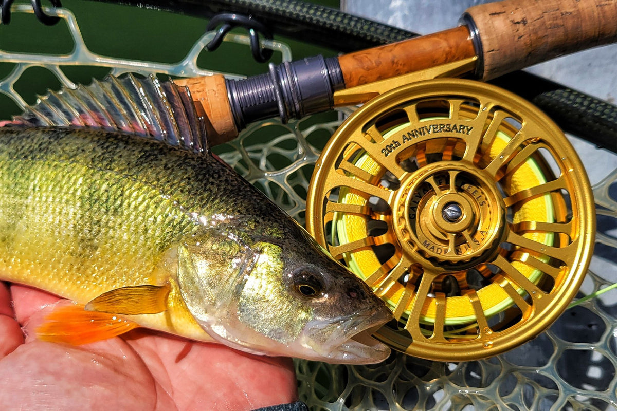Galvan Torque Fly Reel - Happy 20th Anniversary – Big Sky Anglers