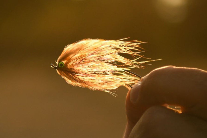 Trout Spey Flies | Guide-Tested Swing Patterns | Big Sky Anglers