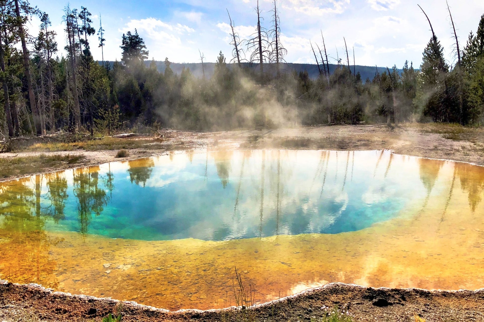 Yellowstone National Park Tours – Big Sky Anglers
